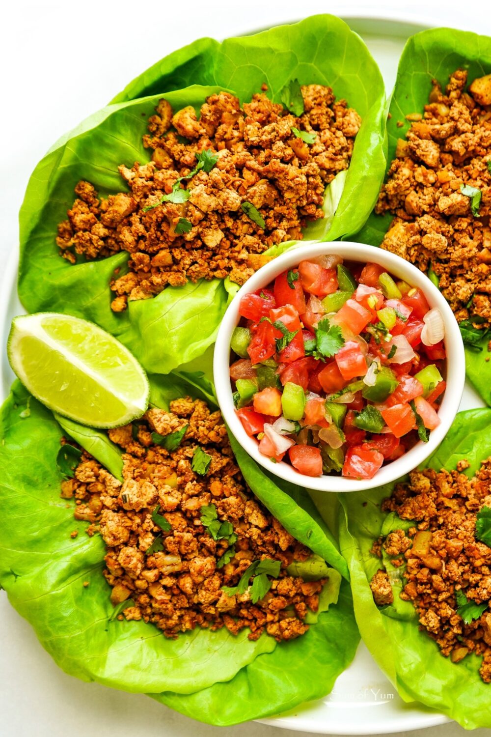 Taco Lettuce Wraps (Variety of Taco Fillings) - Sum of Yum