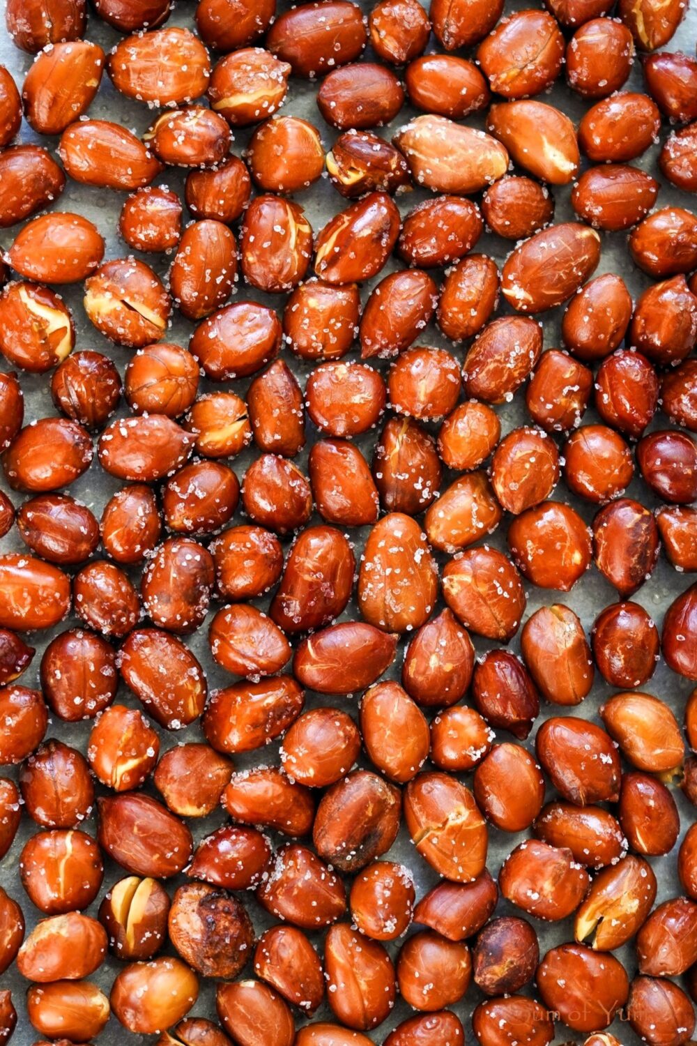 Spanish Peanuts - Sum of Yum